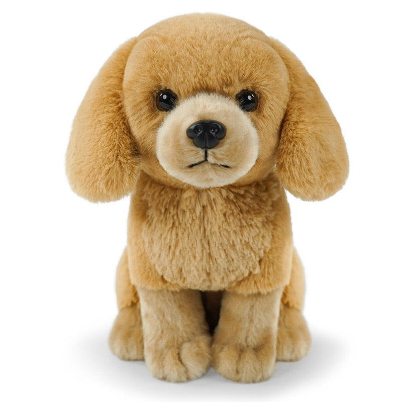 28cm Multi-Breed Puppy Plush – Kids Harmony Hong Kong